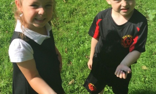 Phoenix St Peter Academy - Reception class makes Blackberry Crumble!